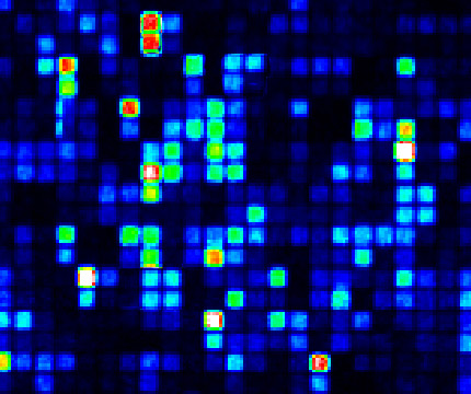 Technological Services for the scientific research | Cogentech